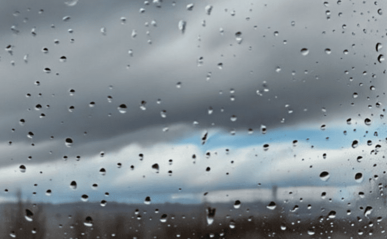 Vai Chover Hoje? A Previsão do tempo que importa: A chuva.